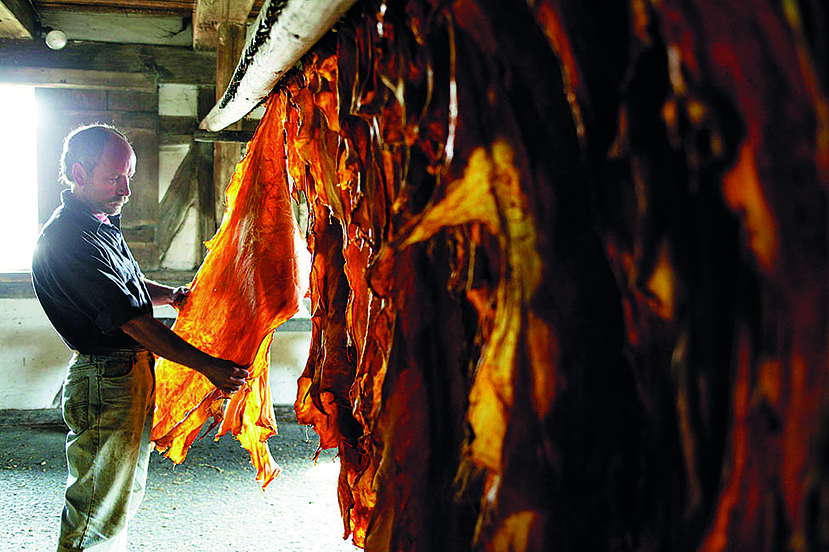 StadtVerführung "Auf den Spuren der Gerber" - Gruppenreise-Portal